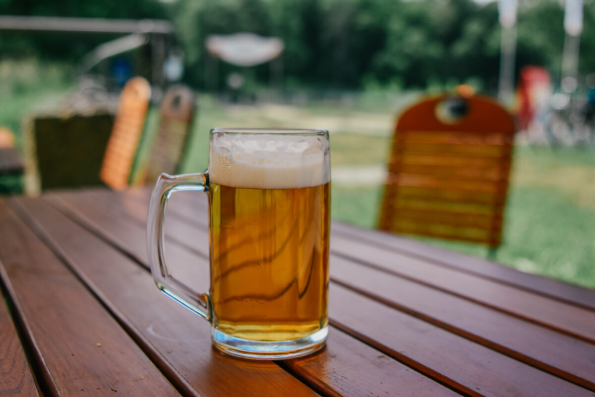 Restaurant - Pillnitzer Elbblick